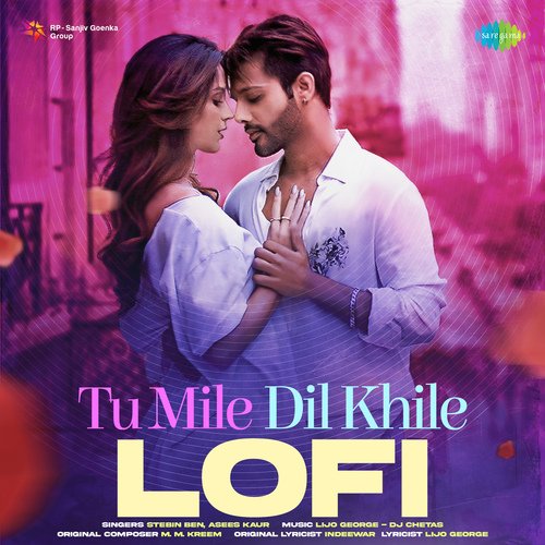Tu Mile Dil Khile - Lofi Songs Download (All MP3) Tu Mile Dil Khile ...